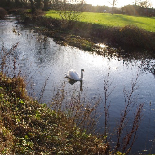 Swallowfield Village Hall, Swallowfield Street, Swallowfield, RG71QX ...