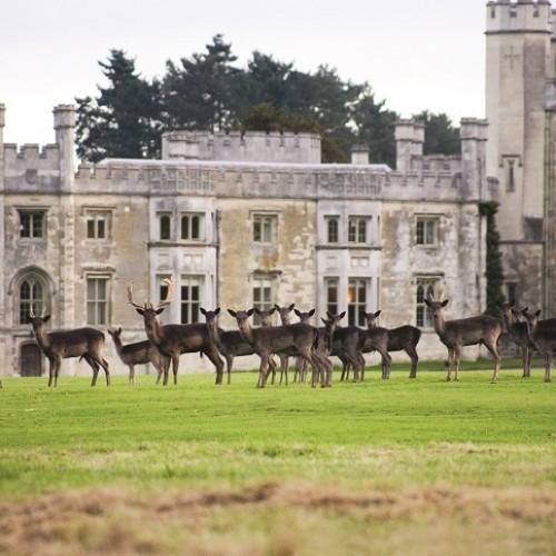 Ashridge House, Ashridge, Berkhamsted, HP4 1NS, Hertfordshire, England ...