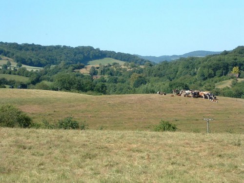 Whitbourne Village Hall, Whitbourne, WR6 5RR, Herefordshire, England ...